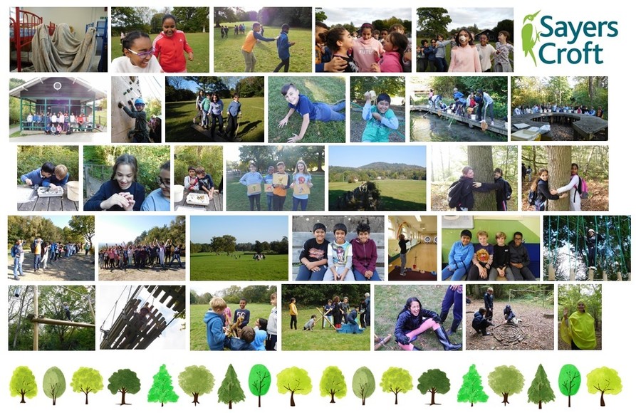 Outdoor Adventure at Sayers Croft - Latest Blogs - St Clement Danes ...